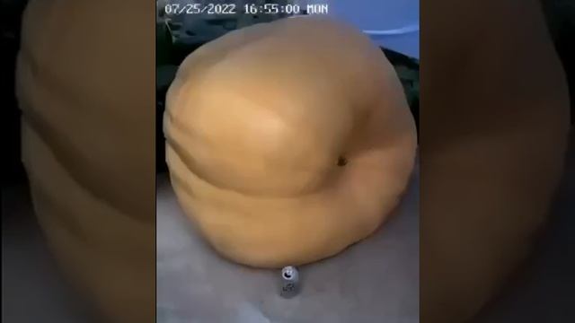 VID_20221216_214907_936.mp4