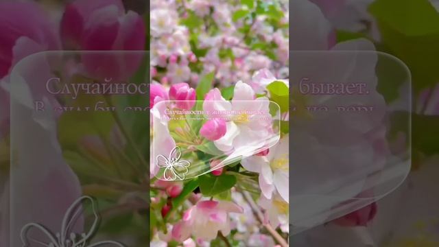 Случайно ничего не происходит