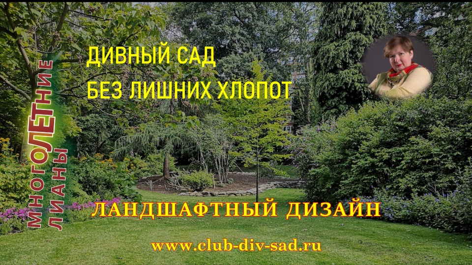 ЛАНДШАФТНЫЙ ДИЗАЙН. Многолетние Лианы