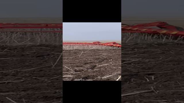 Батарейная борона нового поколения ЛД-17 Деметра от БДТ-АГРО. Работа по подсолнечнику.