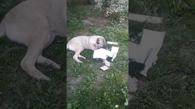 Коробке не повезло.