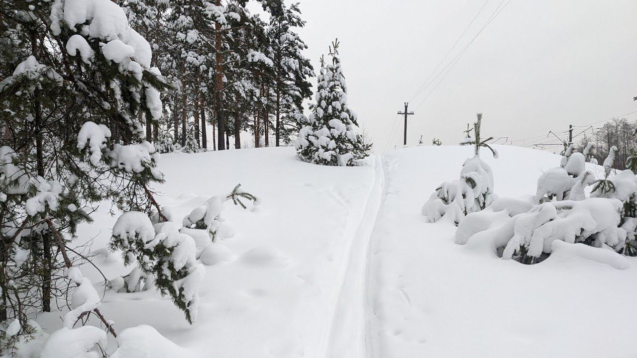 Соколка  6.01.2022