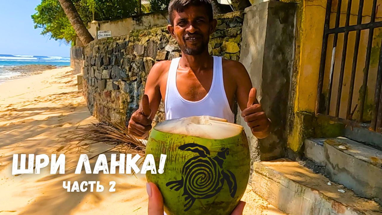 Шри Ланка - рай для черепах