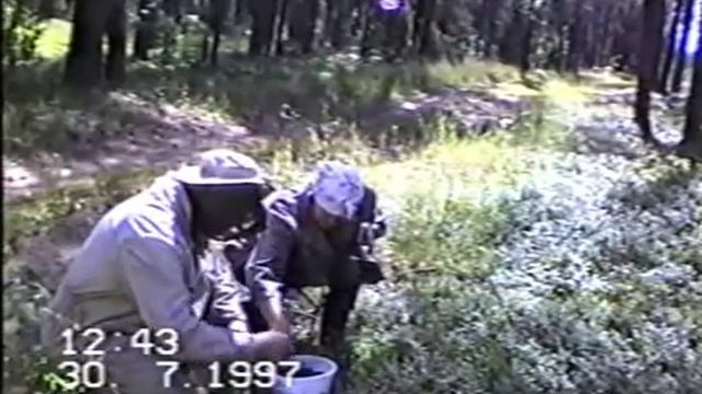 По ягоды -за черникой- - фильм 2 - On berries -for whortleberry- - a film 2