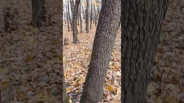 Прогулка на гору 25 октября 2023