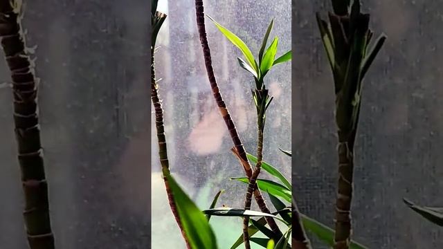 эксперемент удался????