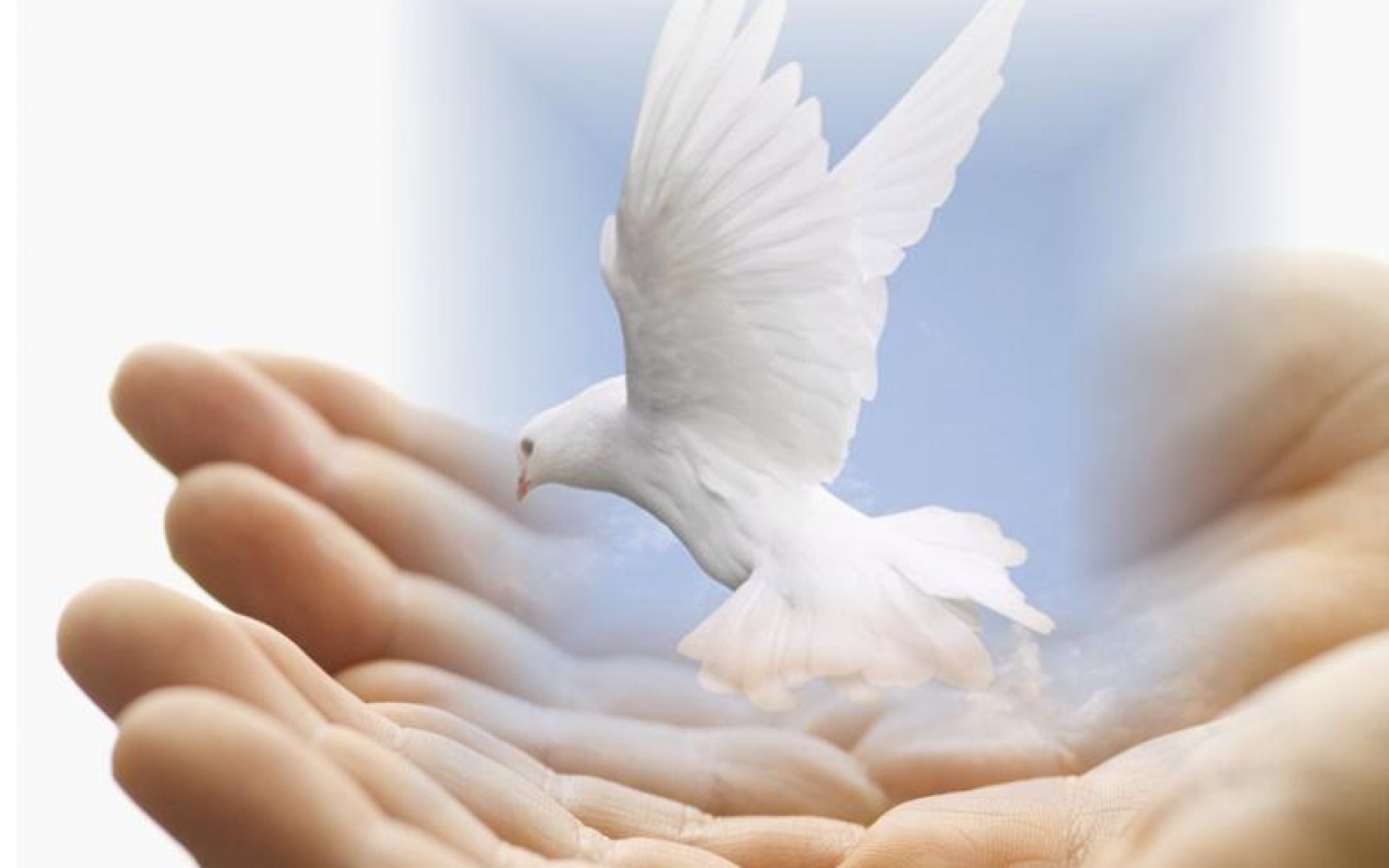 ПОМОЩЬ БОЛЬНЫМ И ДЕТЯМ. ЗАГОВОРЫ ДЛЯ ВСЕХ. ВЕДЬМИНА ИЗБА. ИНГА ХОСРОЕВА.mp4