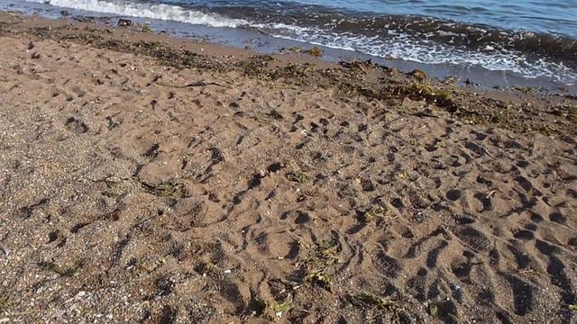 5. Три дня в аэропорте Пригородный пляж Южно-Сахалинск август 2024