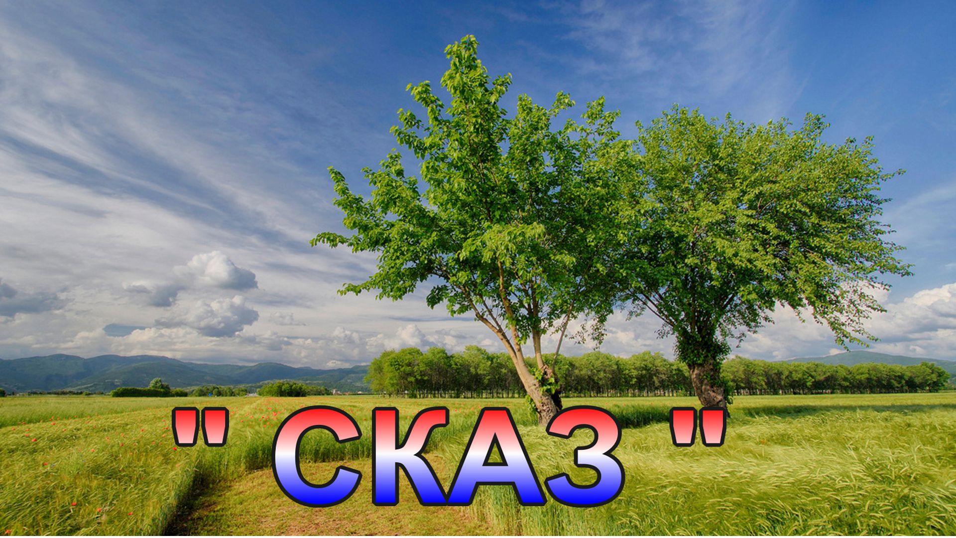 СКАЗ ( 11,12,2022)