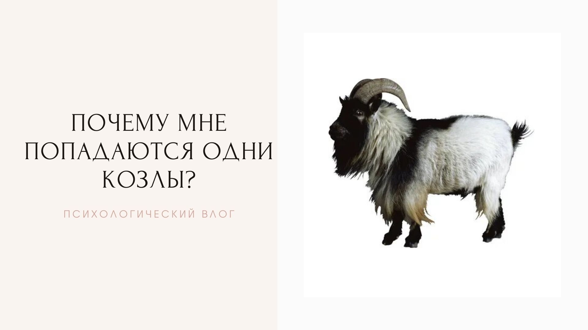 "Почему мне попадаются одни козлы?"