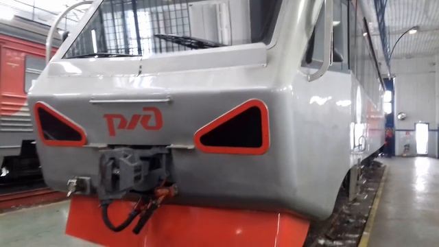 Красавица Сибирячка из моторки ЭР (1)