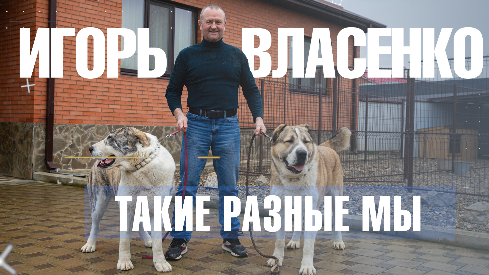 Когда ты – вожак стаи!