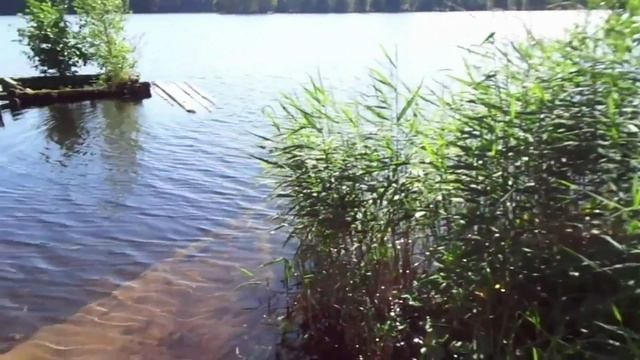 2017г Токари  Петрозаводск.mp4