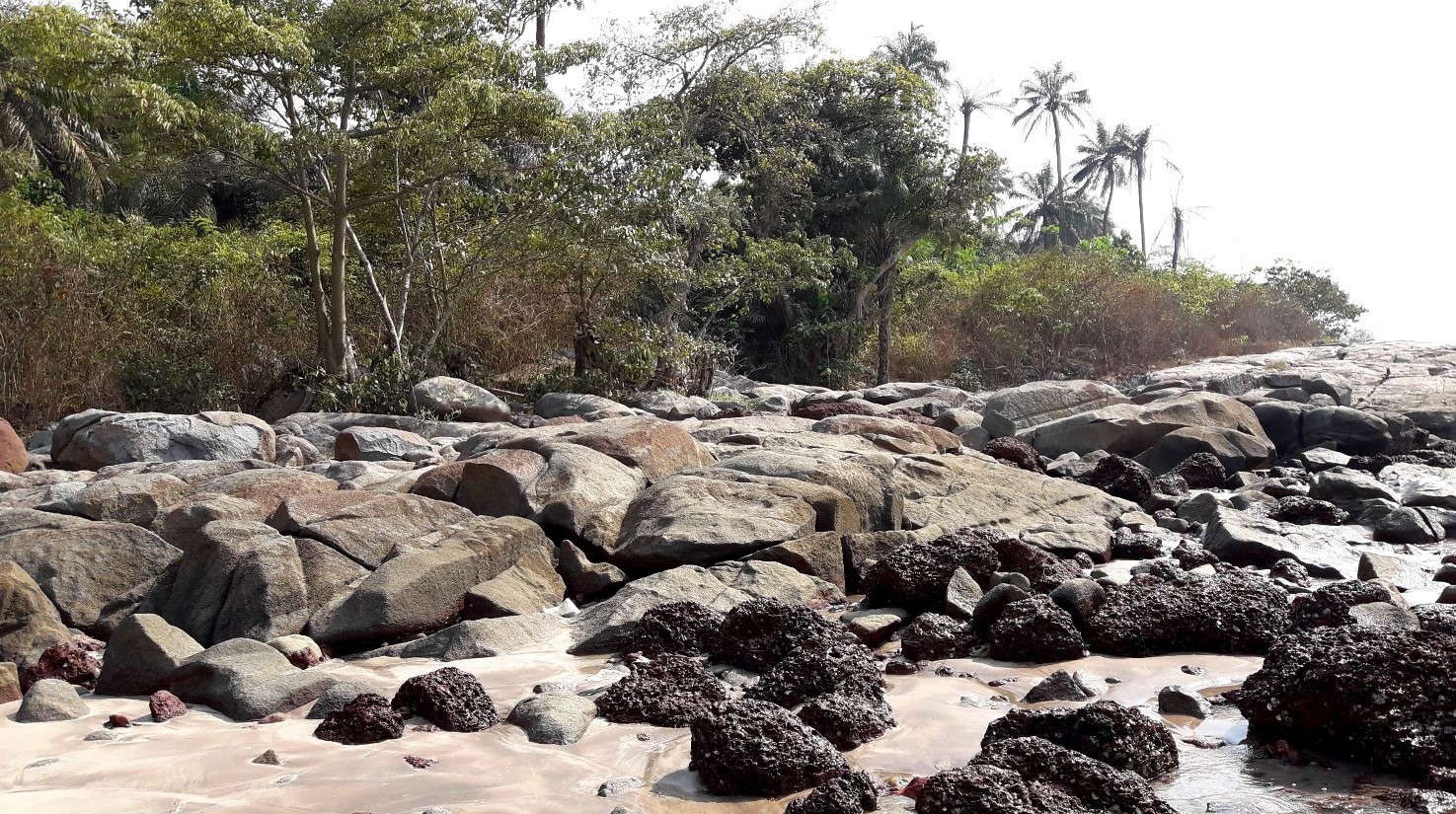 Гвинея. Остров «Касса» (Часть 1)