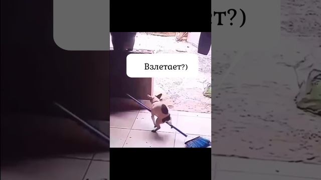 Взлетаю, держите меня семеро )))