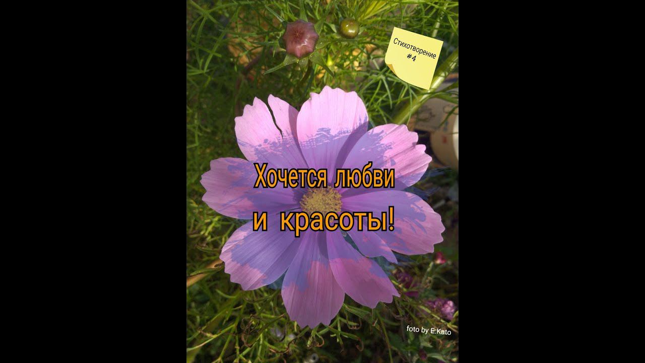 АРХИВ / Стихотворение #4 - Хочется любви и красоты. Автор - Екатерина Р (псев. Е.Като)