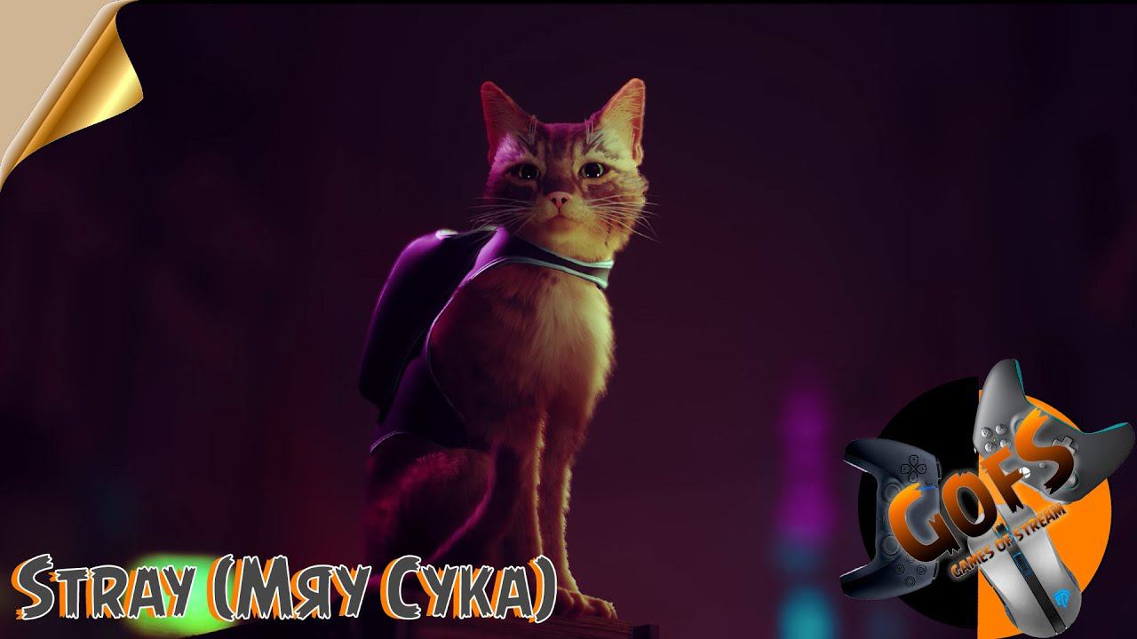 Stray (Эпизод 1)