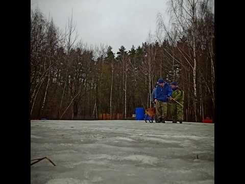 Защита проводника, тренировка