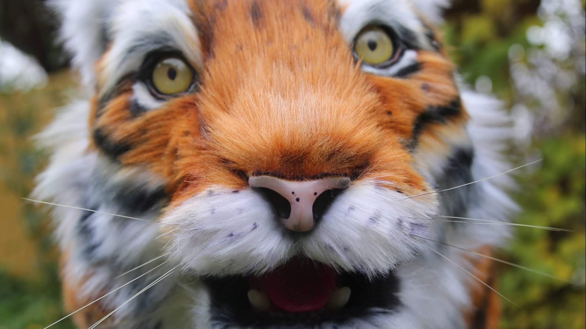 Тигр Амур. Реалистичная подвижная игрушка ручной работы. 2019 год