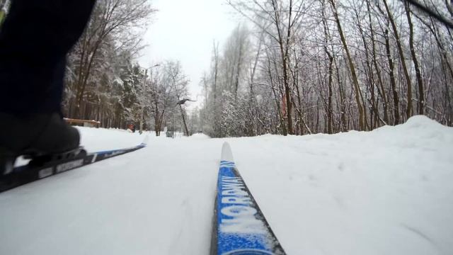 На лыжах №2. [4K]