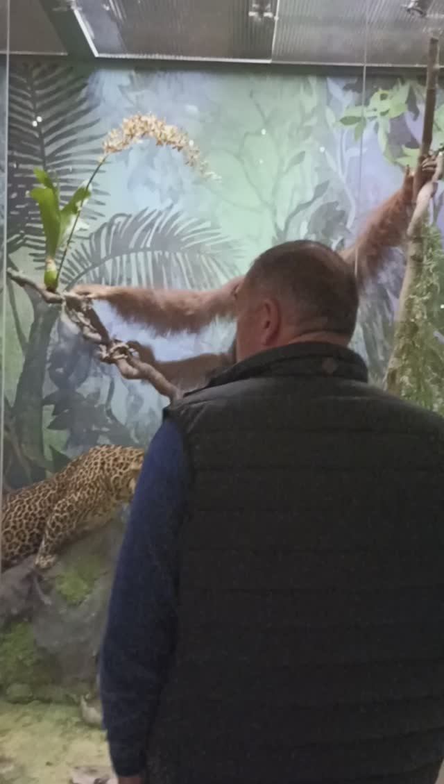 Экспозиции Дарвиновского музея