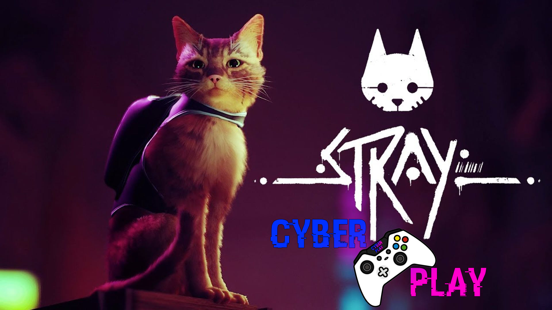 ПУШИСТЫЕ ЛАПКИ:  ПУСТИТЬСЯ ВО ВСЕ ТЯЖКИЕ ? БЕЗДОМНЫЙ ? STRAY ПРОХОЖДЕНИЕ #1