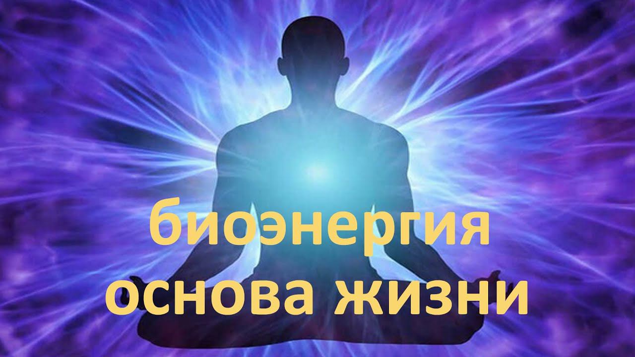 БИОЭНЕРГИЯ — ОСНОВА ЖИЗНИ