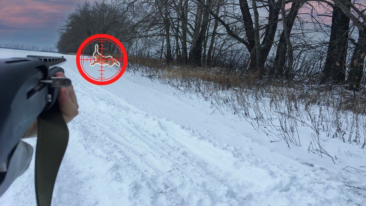 ОХОТА НА ЗАЙЦА ЗИМОЙ