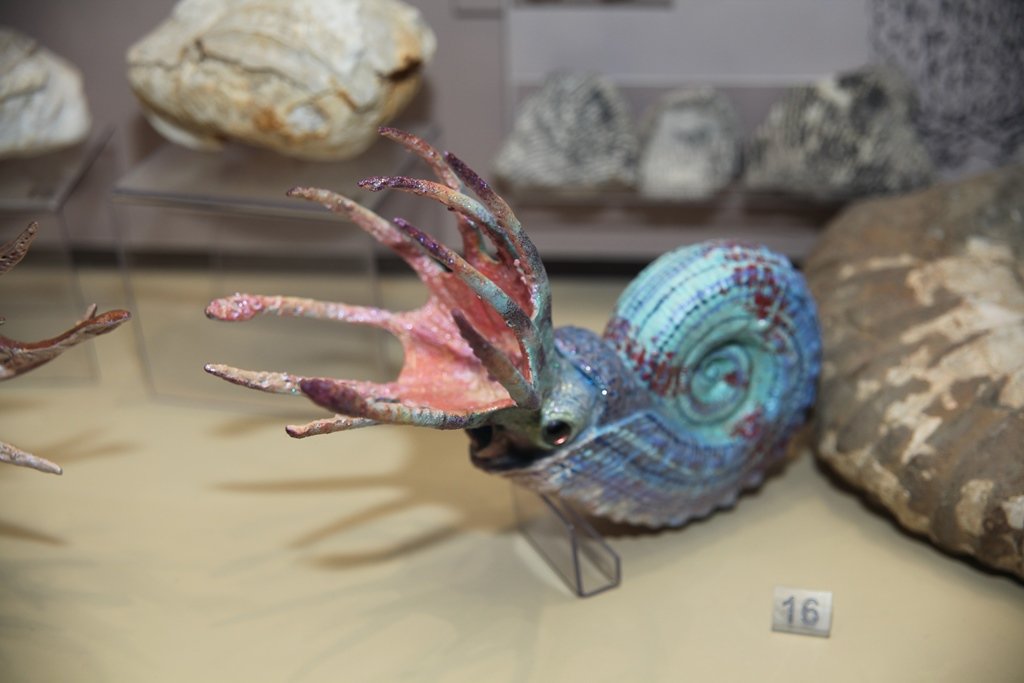 Чем питались гидротерозавры?