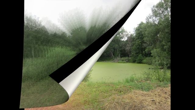 То не ветер ветку клонит народная песня исполнение фото и видео Татьяна Талызина.avi