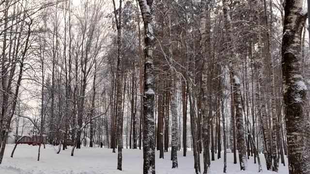 Церковь Христа Спасителя в Сыктывкаре