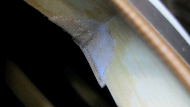 Выбрать, купить и наладить гитару