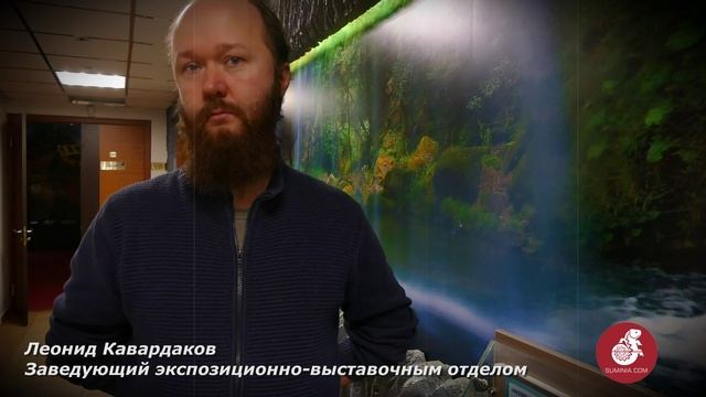 Новая выставка в холле Вятского палеонтологического "Пеликозавры и их мир" с1 декабря 2022 года.