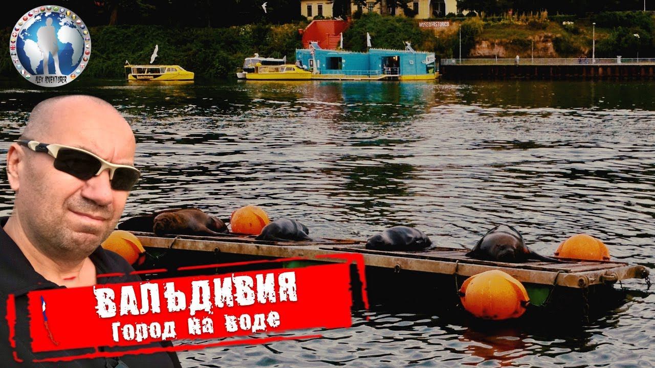 Вальдивия 🇨🇱 Чили. Город на воде. Узнай где это место 💯Алекс Авантюрист