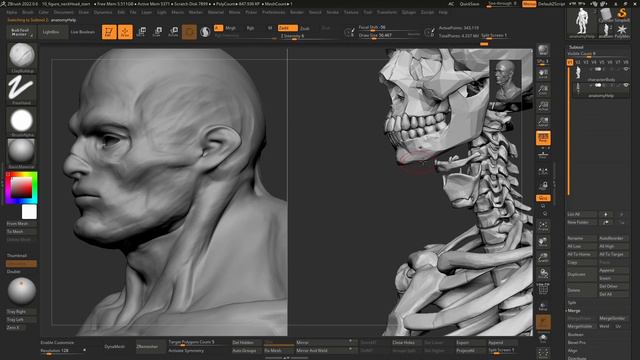 40_Фигура_мышцы шеи для создания #3d_персонажей