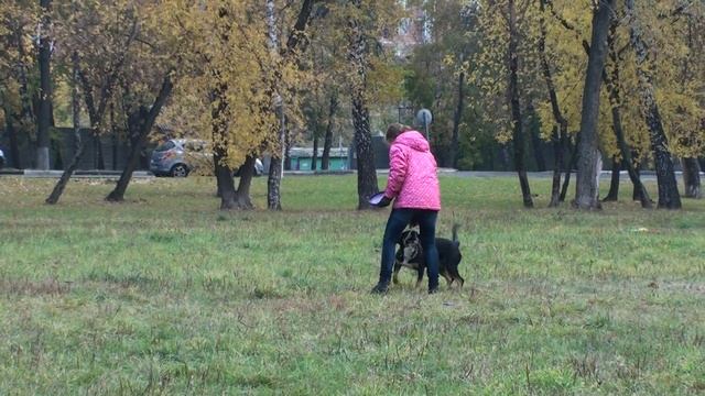 Фризби Фристайл Дарья и Гвидон Осенний вальс.mp4