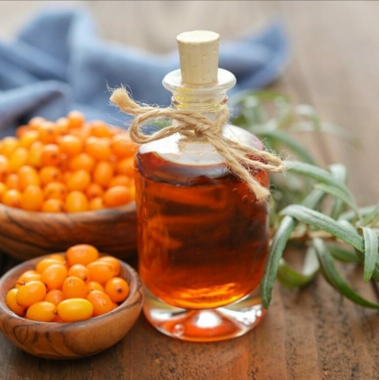 Облепишка, облепиха, что мы знаем о ней ?       #garden  #farm