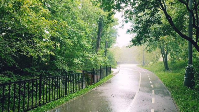 Июльские грозы. Композитор Либорио Конти.