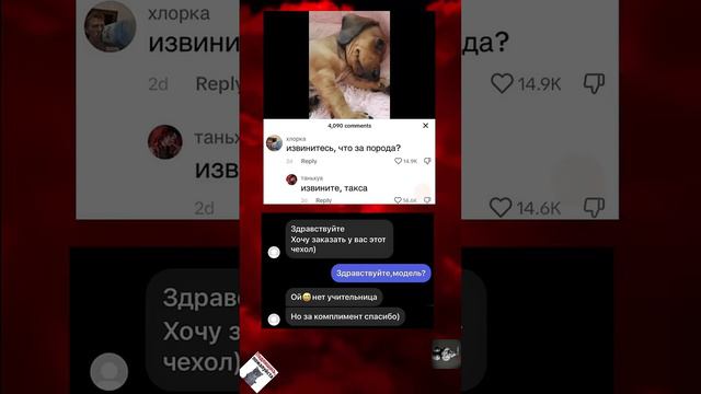 Извинитесь! #рек #юмор #мем #мемы #шутки