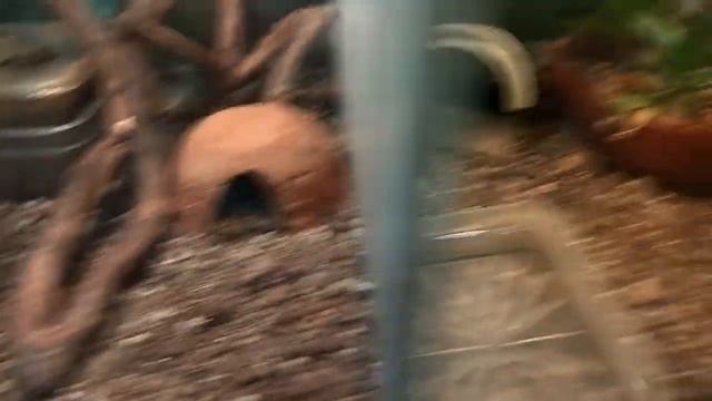 Выставка Цокольного Этажа! Челябинскому Дому Аквариуму 40 лет