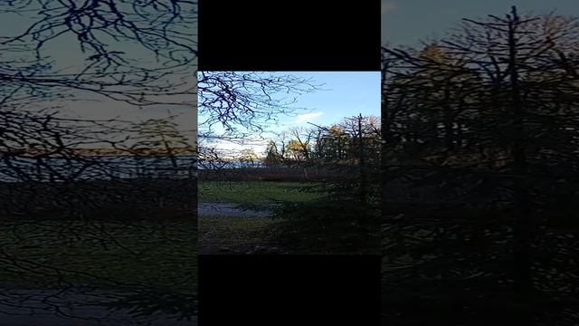 Выборг  парк Монрепо