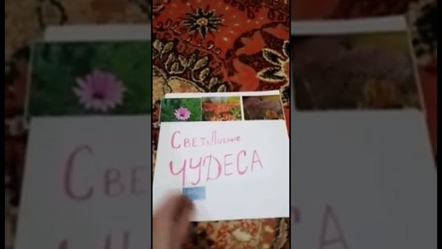 Отзыв о структурных файлах