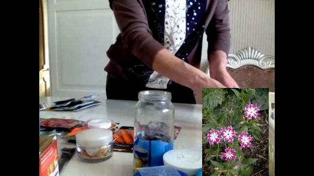 #семяна#что_посадить_весной#обзор_семян ЧТО сажаю весной МЕГАбзор семян!