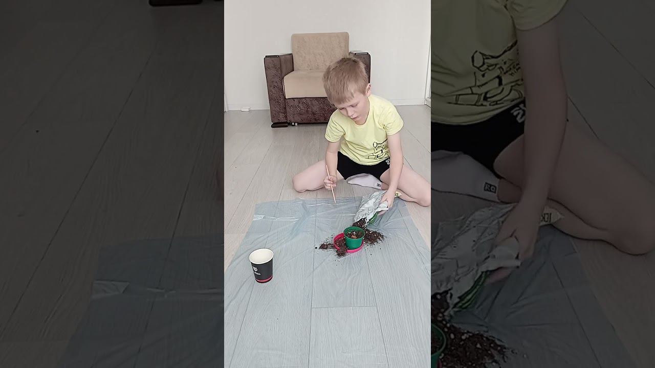 Сажаю нектарин