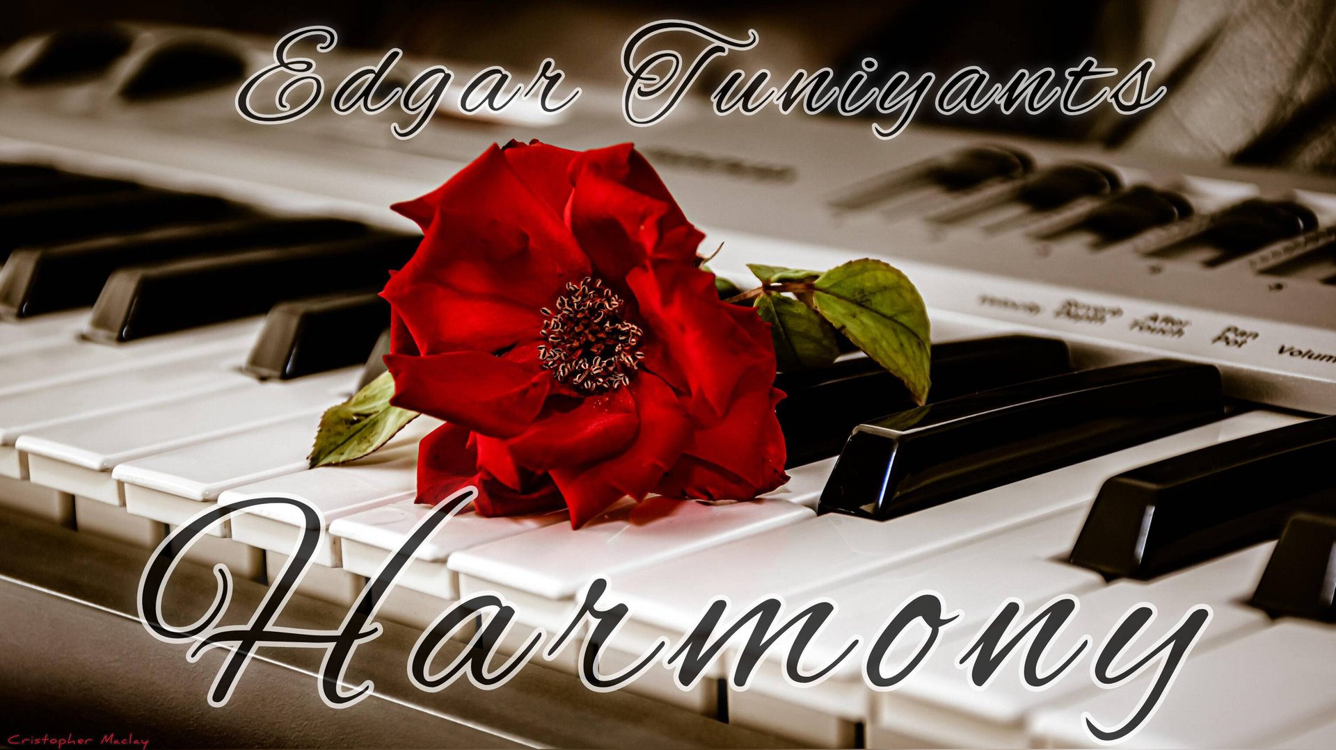 🌿 ГАРМОНИЯ ~ Коллекция Эдгара Туниянца и Сергея Чекалина🌿 Современная классика🌿🌿