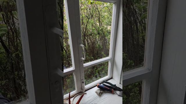 10. Купила ЗАБРОШЕННЫЙ дом и делаю в нем швейную МАСТЕРСКУЮ.