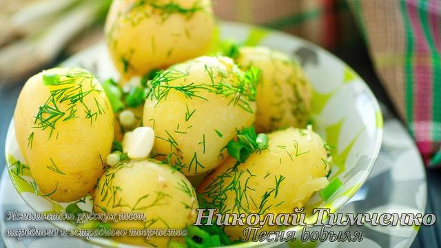 ? Николай Тимченко - Песня бобыля