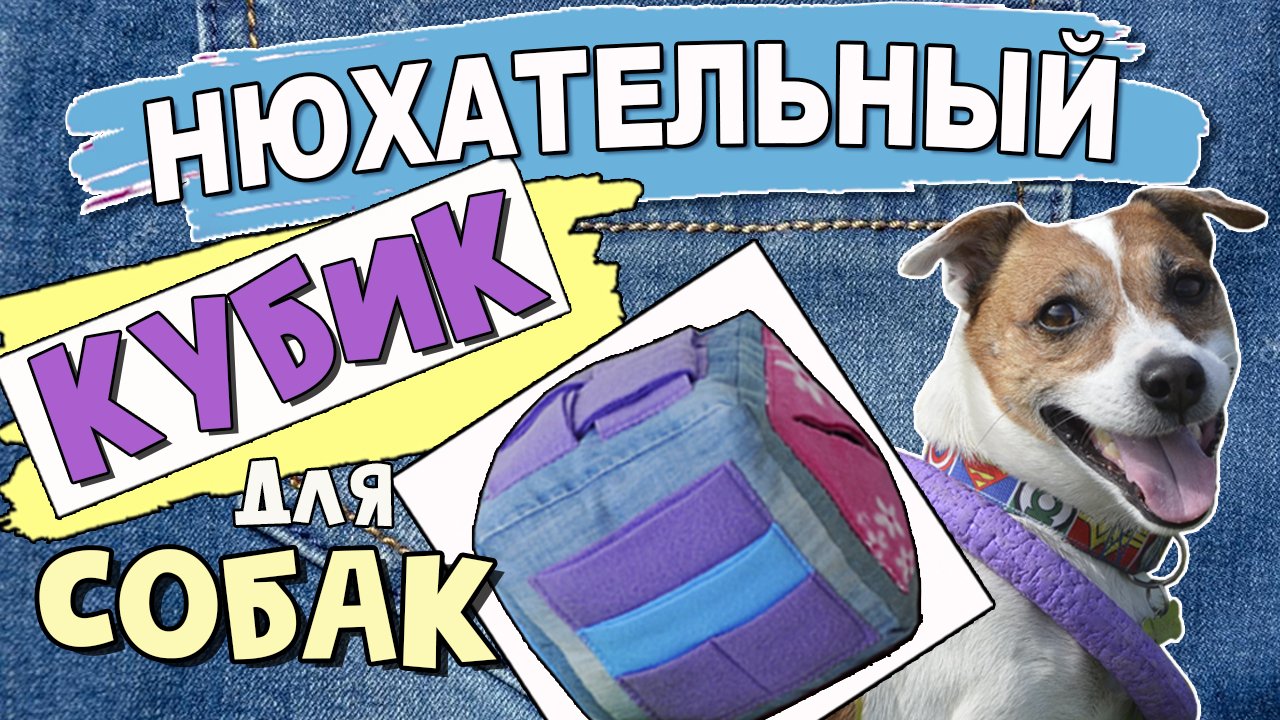 НЮХАТЕЛЬНЫЙ КУБИК для собак своими руками. Нюхательный коврик