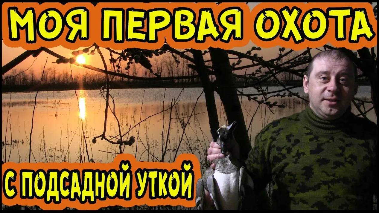 Охота с подсадной уткой. Первая охота и первый трофей.