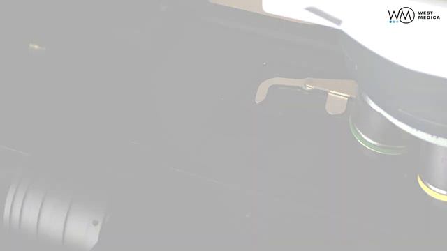 Автоматическая сканирующая система | Vision System Ultimate